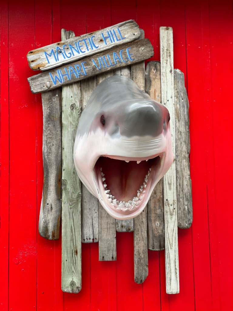 Découvrir Moncton : culture, nature et gastronomie | Surfer girl around ...